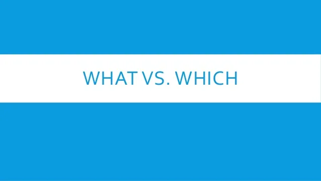 Comprendre la différence entre What et Which